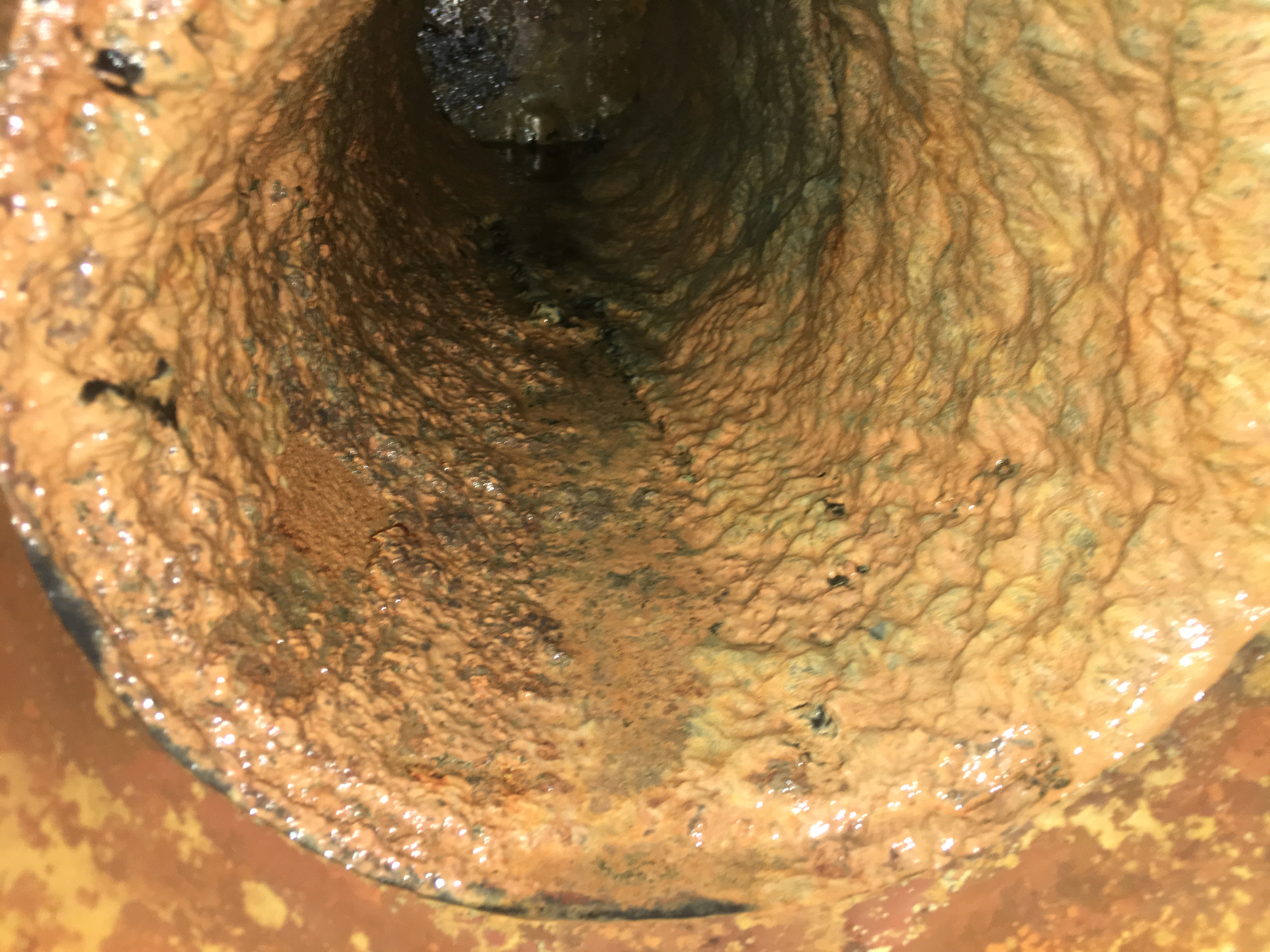 Deposit Removal in Process Piping with ProMoss